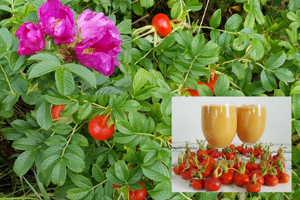 Smoothie med hyben og gurkemeje - Veganermor